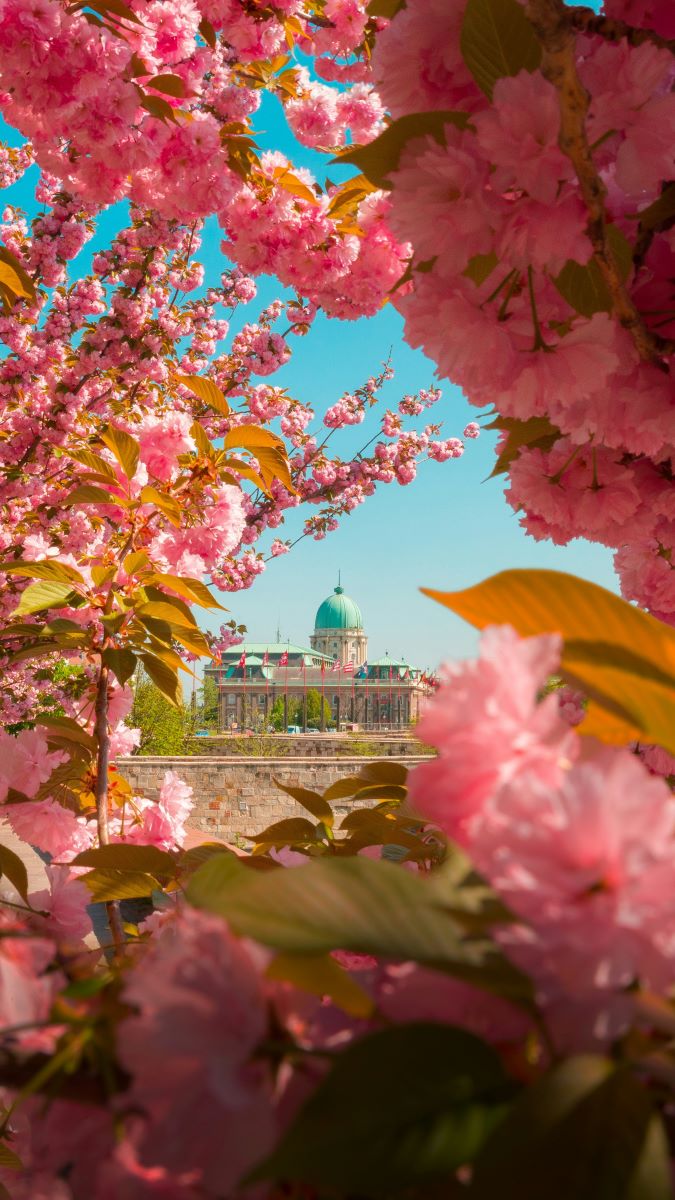 Budapest in Spring: A Complete Travel Guide – Travel Fly Sky